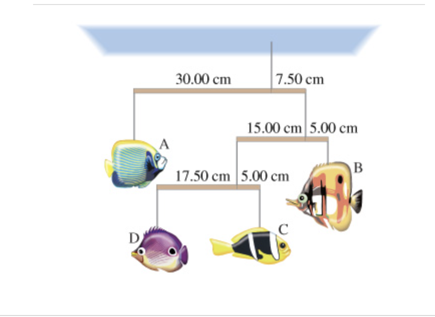 Solved The mobile in the figure (Figure 1) ﻿is in | Chegg.com