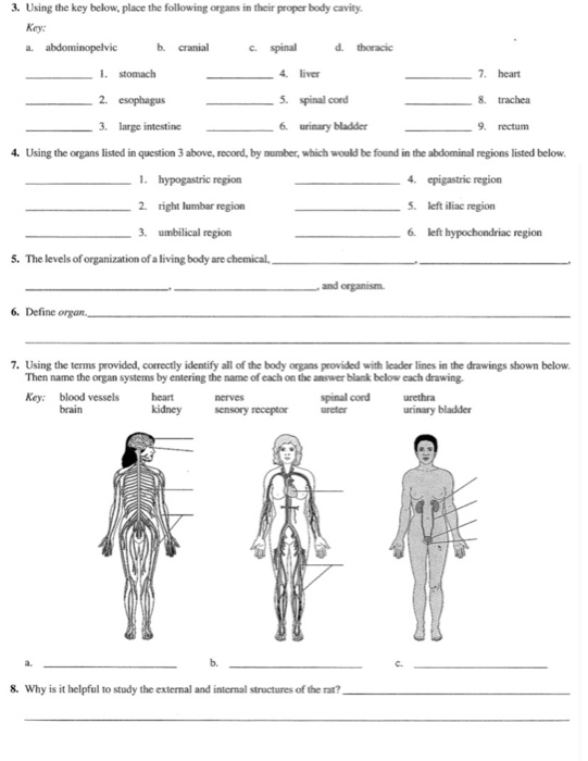 Solved 2. Using the above key, choose the organ system to | Chegg.com