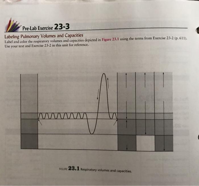 Solved Pre-Lab Exercise 23-2 Defining Pulmonary Volumes and | Chegg.com