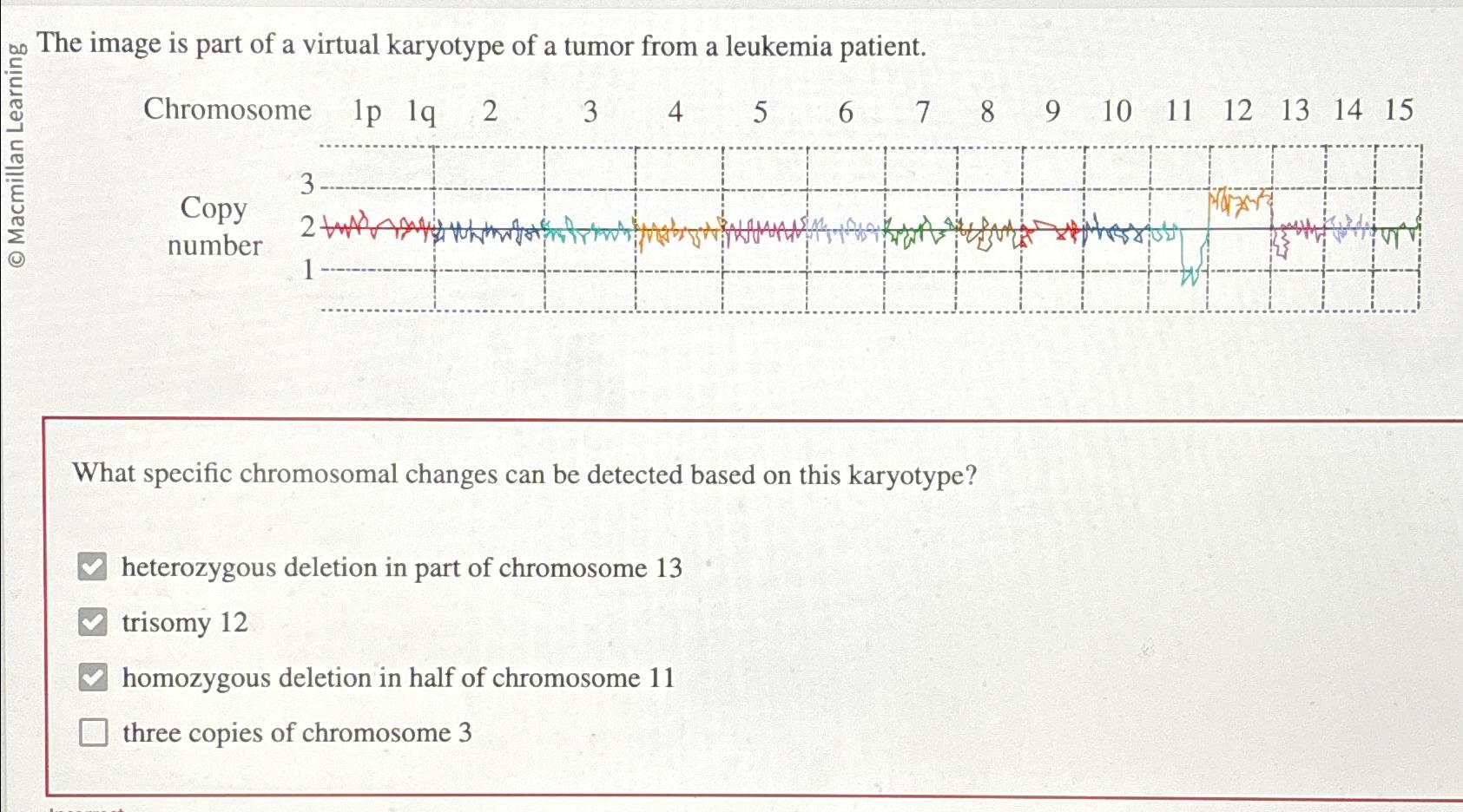Solved The image is part of a virtual karyotype of a tumor | Chegg.com
