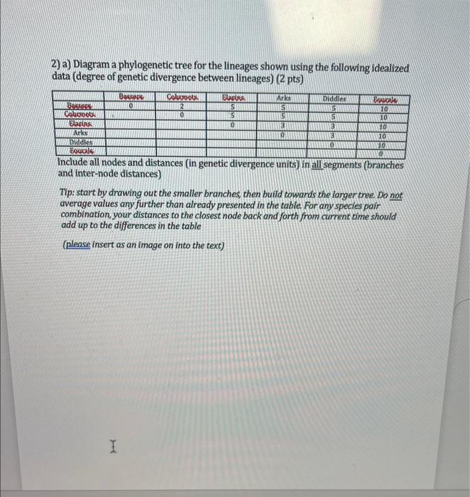 2) a) Diagram a phylogenetic tree for the lineages | Chegg.com