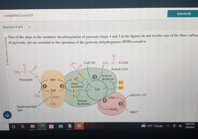 Solved Completed 3 ﻿out of 8Question 4 ﻿of 8Two of the steps | Chegg.com