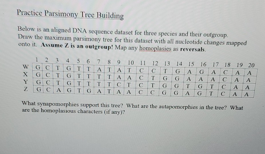 Solved Practice Parsimony Tree Building Below is an aligned | Chegg.com