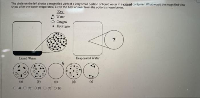 Solved The circle on the left shows a magnifled view of a | Chegg.com