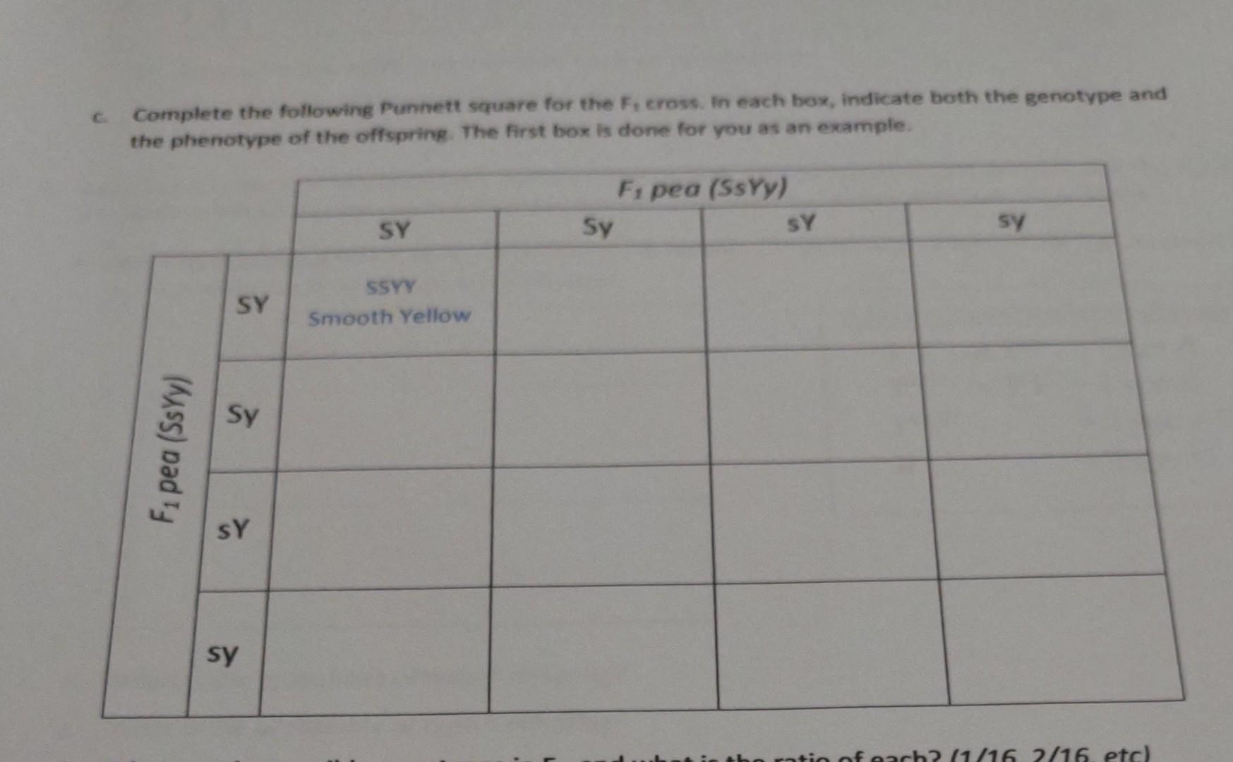 Solved Complete the following Punnett square for the F1 | Chegg.com