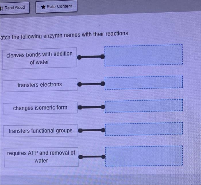 Solved Read Aloud Rate Content atch the following enzyme | Chegg.com