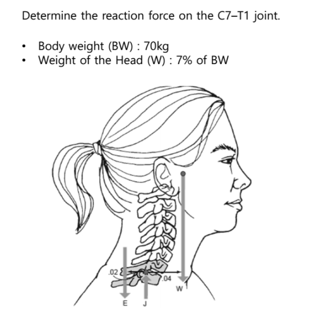 Solved Determine the reaction force on the C7-T1 ﻿joint.Body | Chegg.com