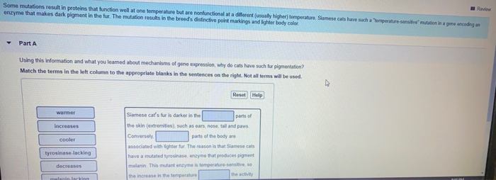 Solved Some mutations result in proteins that function well | Chegg.com