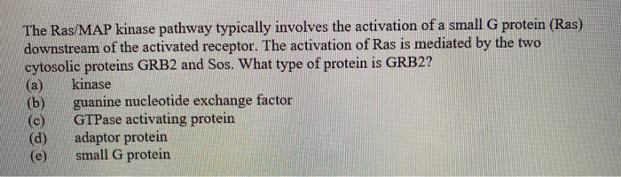 Solved The Rasmap Kinase Pathway Typically Involves The 9698