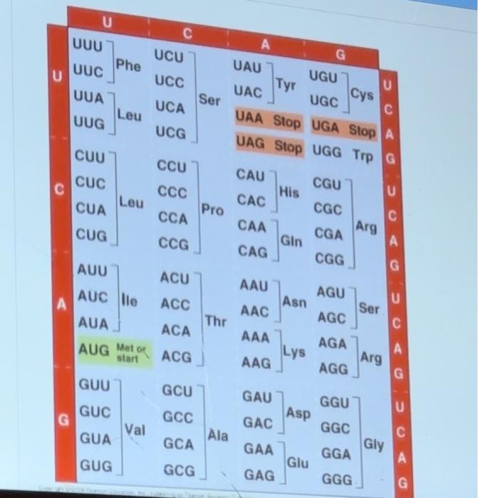 Solved b) Write the sequence of the first codon ( 0.5 | Chegg.com