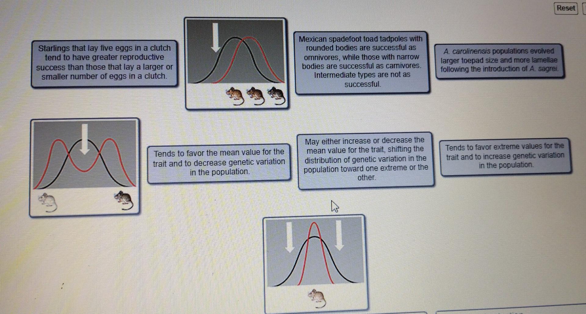 Solved The following graph shows the frequency distribution | Chegg.com