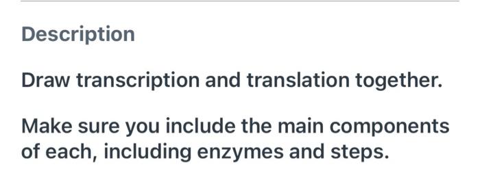 Solved Description Draw transcription and translation | Chegg.com