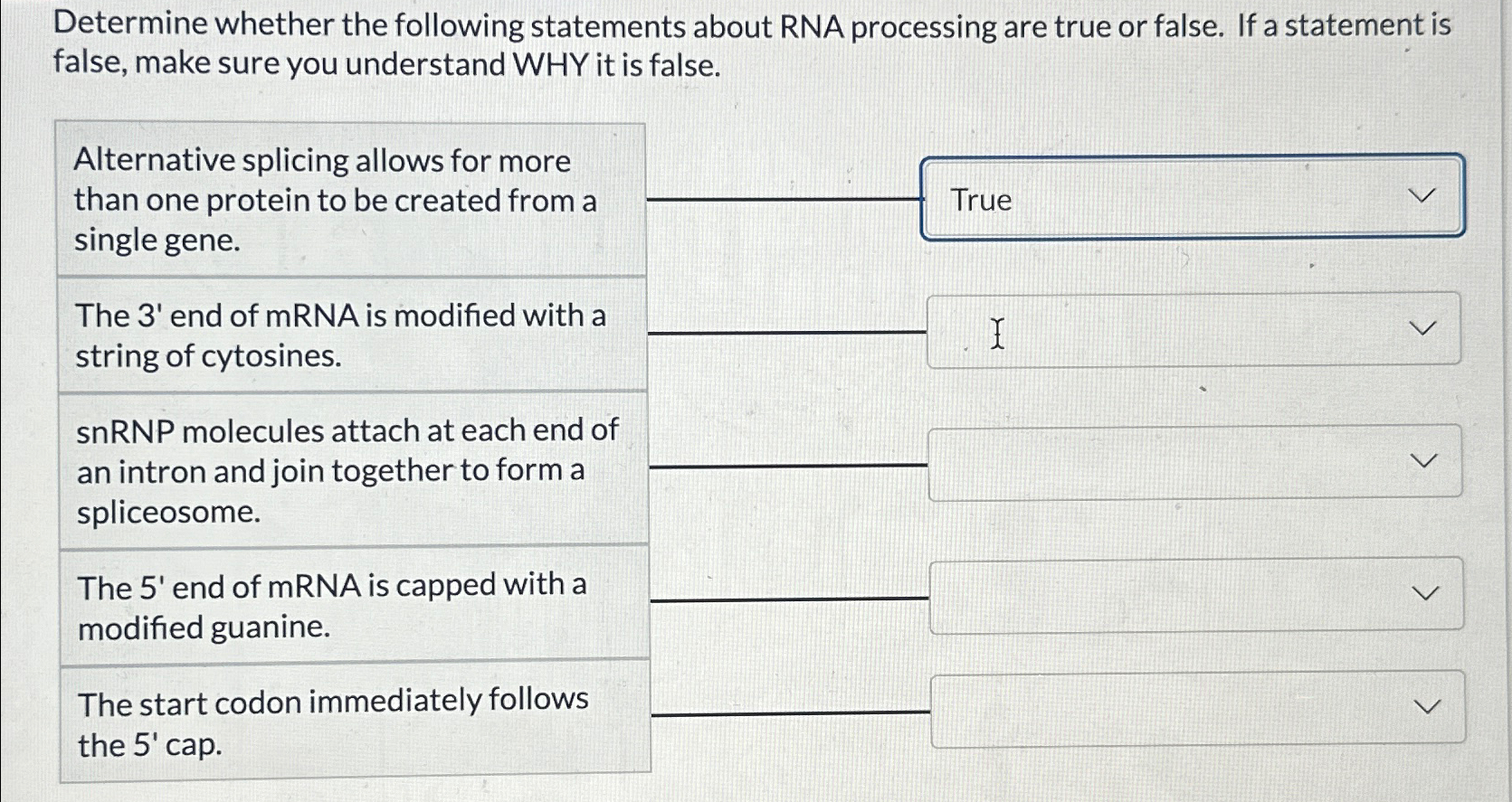 Solved Determine whether the following statements about RNA | Chegg.com