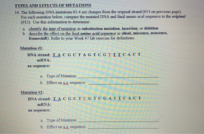 Solved TYPES AND EFFECTS OF MUTATIONS 14. The following DNA | Chegg.com