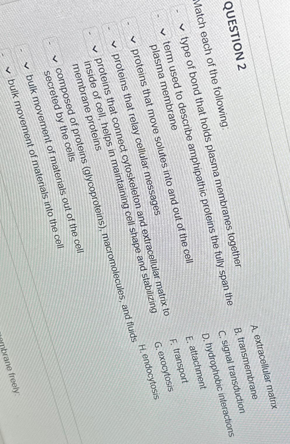 Solved QUESTION 2A. ﻿extracellular matrixMatch each of the | Chegg.com