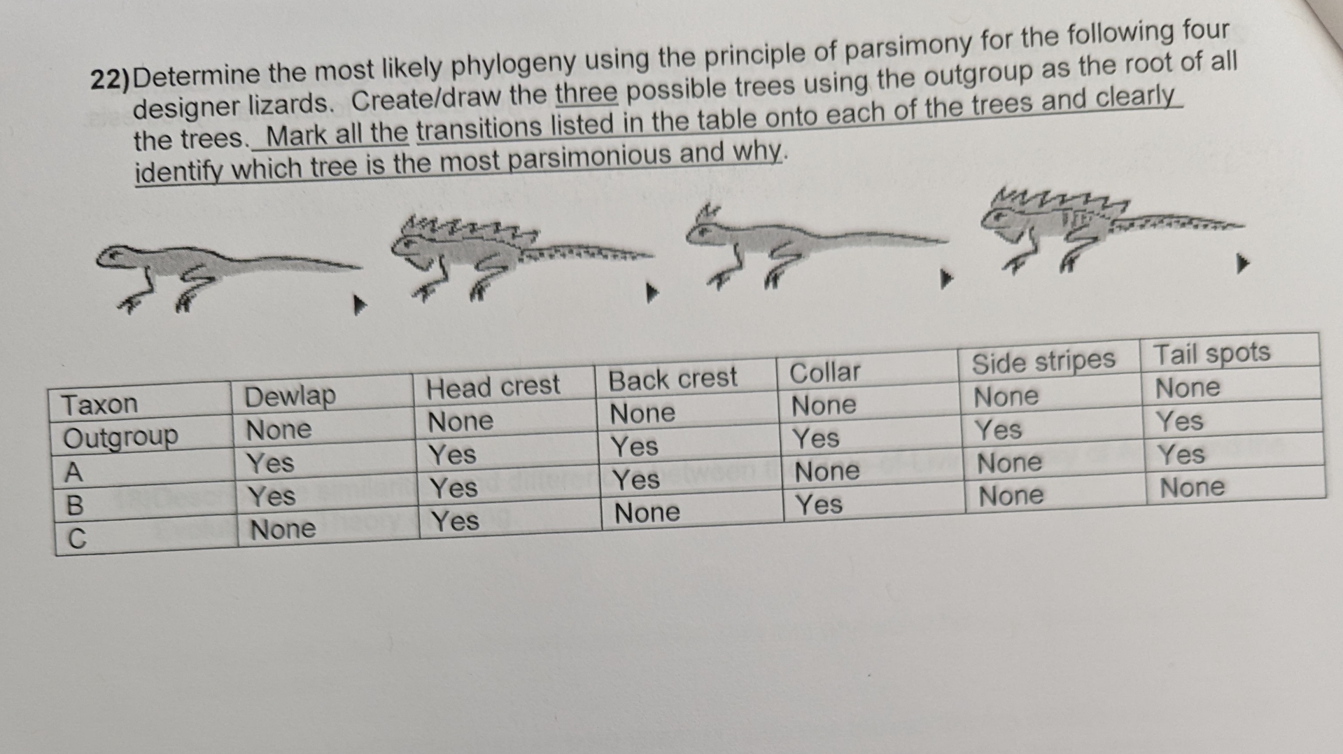 Solved Determine the most likely phylogeny using the | Chegg.com