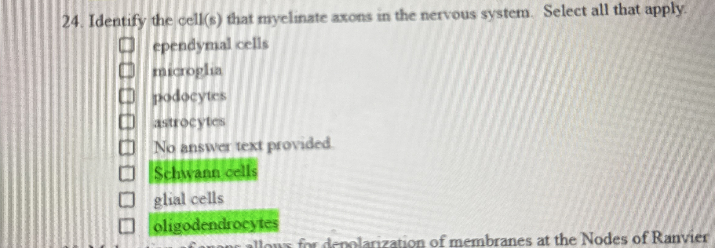 Solved Identify the cell(s) ﻿that myelinate axons in the | Chegg.com