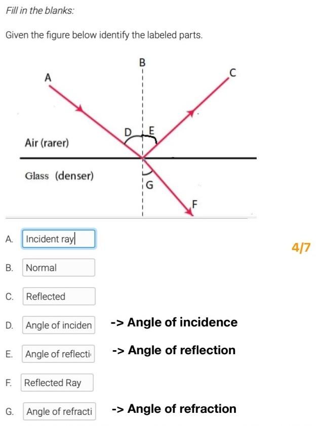 Solved Fill in the blanks: Given the figure below identify | Chegg.com