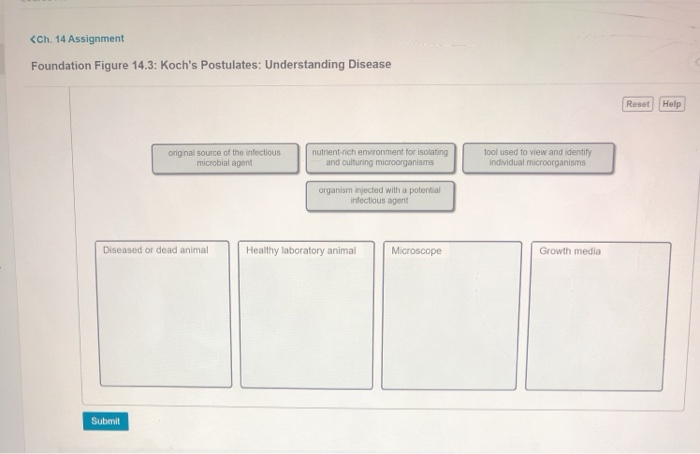 Solved Part B - Experimental Approaches for Understanding | Chegg.com