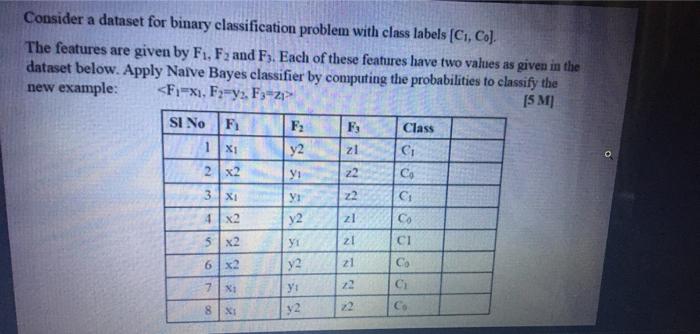 Solved Consider a dataset for binary classification problem | Chegg.com