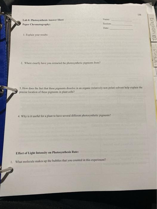 136 Lab 8: Photosynthesis Answer Sheet Paper | Chegg.com