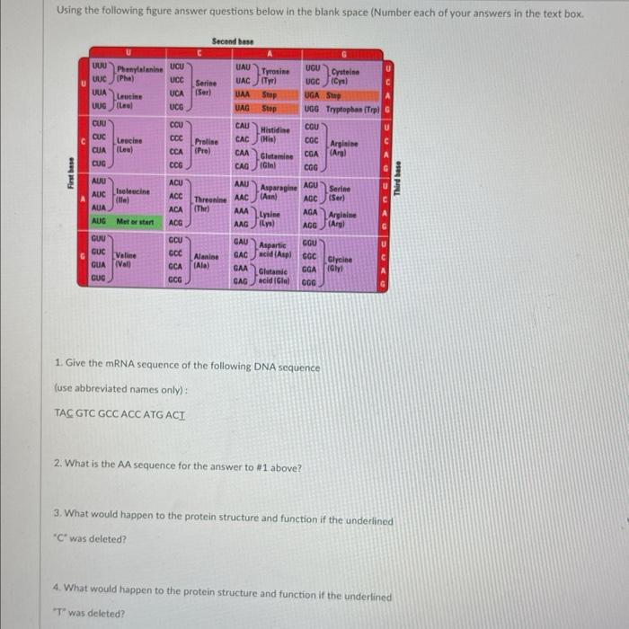 Solved Using the following figure answer questions below in | Chegg.com