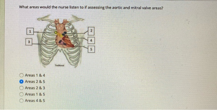 Solved What does thoracic expansion (respiratory excursion) | Chegg.com