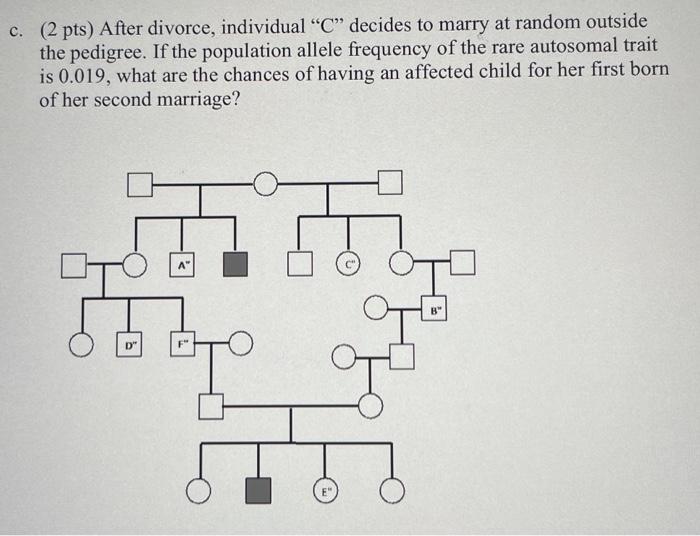 Solved (2 pts) After divorce, individual " C " decides to | Chegg.com