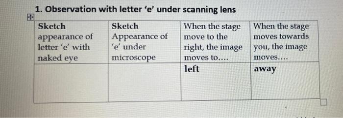 Solved 1. Observation with letter 'e' under scanning lens | Chegg.com