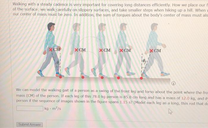 Solved Walking with a steady cadence is very important for | Chegg.com