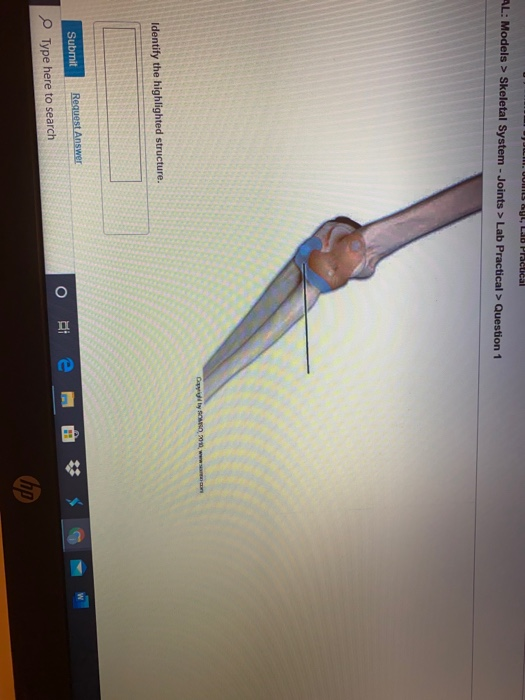 vun oyub Practical AL: Models > Skeletal System - | Chegg.com