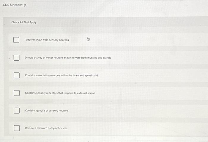 Solved CNS functions: (4) Check All That Apply Receives | Chegg.com