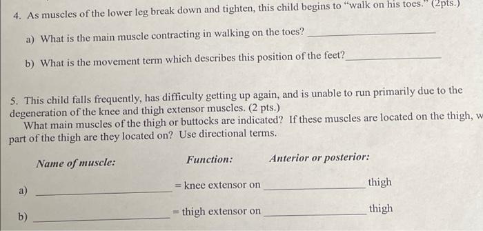 Solved 4. As muscles of the lower leg break down and | Chegg.com
