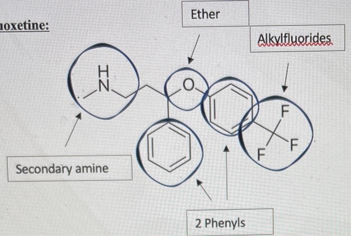 Solved what of these functional groups are ionizable and | Chegg.com