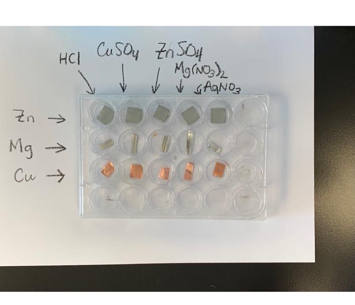 Solved SINGLE AND DOUBLE DISPLACEMENT REACTIONS PROCEDURE, | Chegg.com
