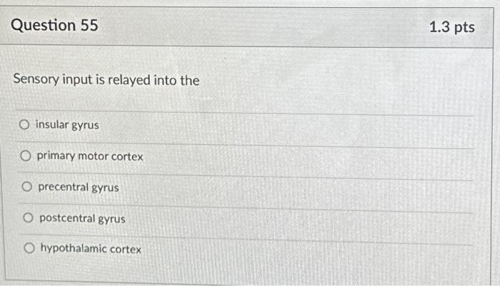 Solved Sensory input is relayed into the insular gyrus | Chegg.com