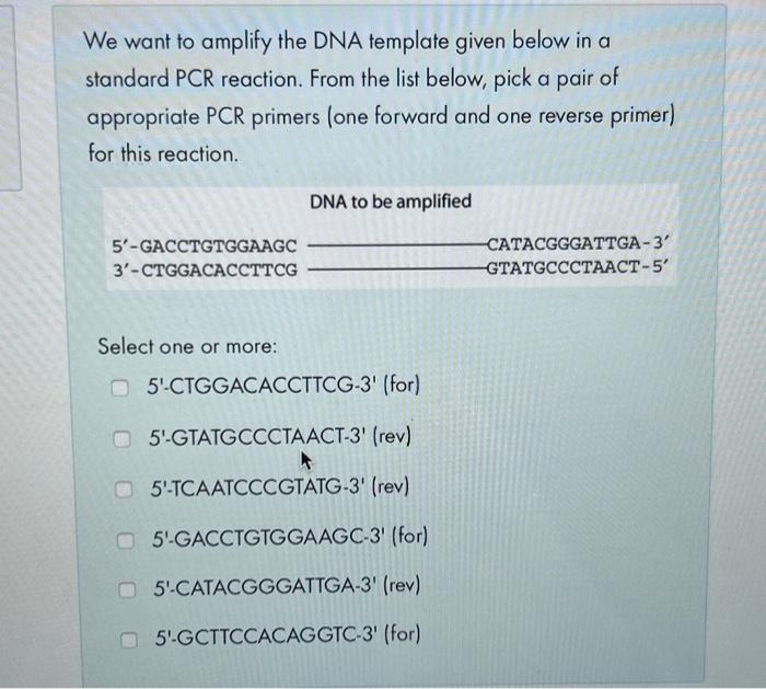 Solved We want to amplify the DNA template given below in a | Chegg.com