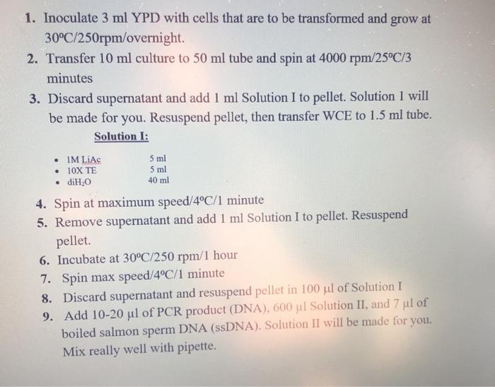 1. Inoculate 3 ml YPD with cells that are to be | Chegg.com