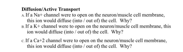 Solved Diffusion/Active Transport A. If a Na+ channel were | Chegg.com