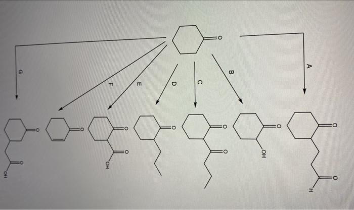 Solved Provide reagents and name of the rxn. for the | Chegg.com