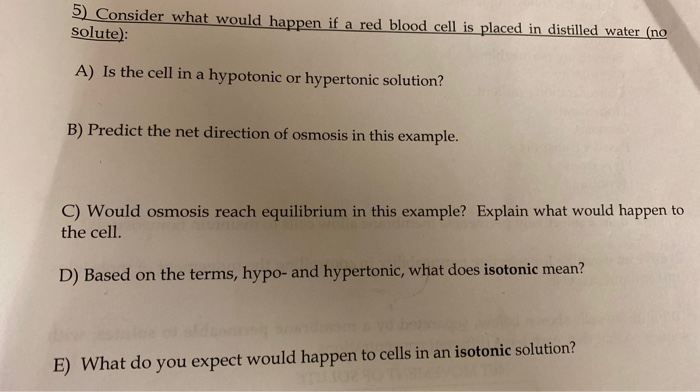 Solved 5) Consider what would happen if a red blood cell is | Chegg.com