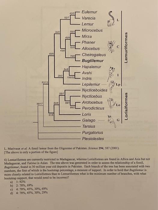 42/2 92/7 L 302 49/9 52/5 Lemuriformes 458 699 786 | Chegg.com