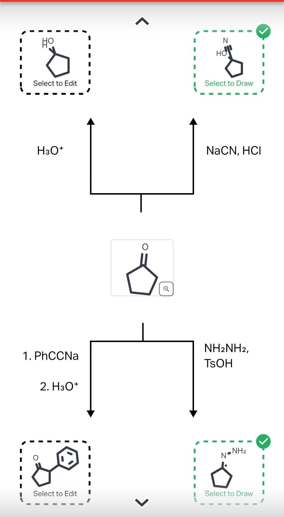 Solved A common ketone starting material is shown below. | Chegg.com
