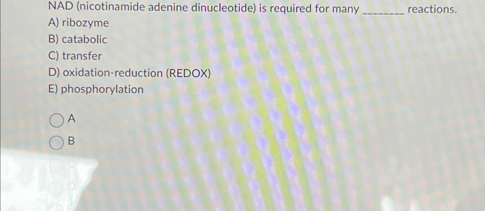 Solved NAD (nicotinamide adenine dinucleotide) ﻿is required | Chegg.com