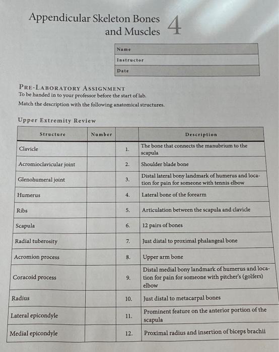 Solved Appendicular Skeleton Bones and Muscles | Chegg.com