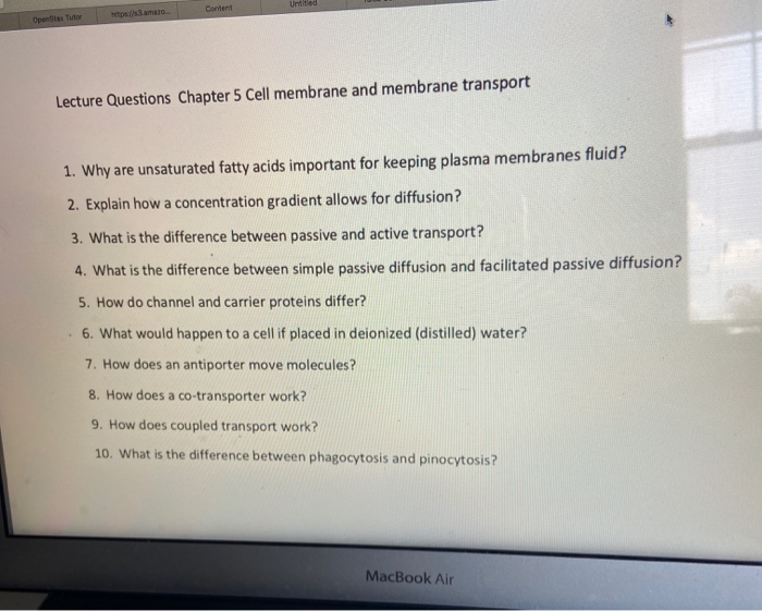 Solved Coment Untitled Lecture Questions Chapter 5 Cell | Chegg.com