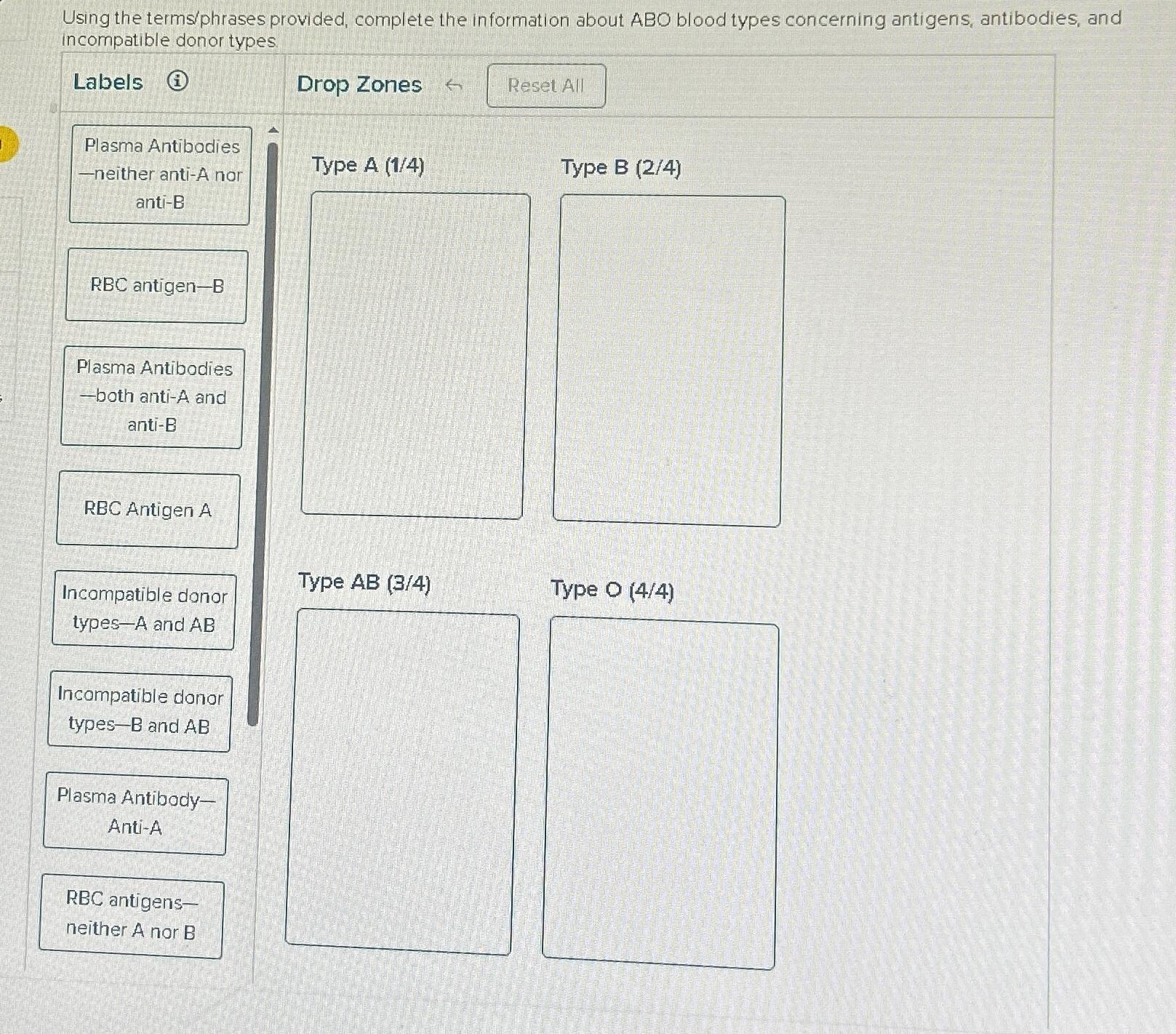 Solved Using the terms/phrases provided, complete the | Chegg.com