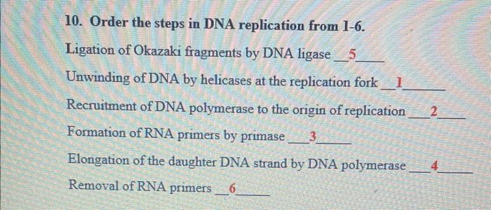 Solved 10. Order the steps in DNA replication from 1-6. | Chegg.com