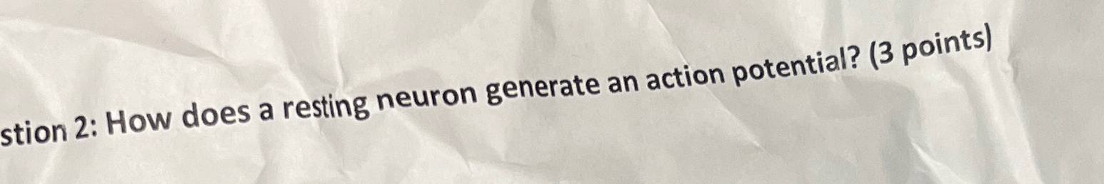 Solved stion 2: How does a resting neuron generate an action | Chegg.com