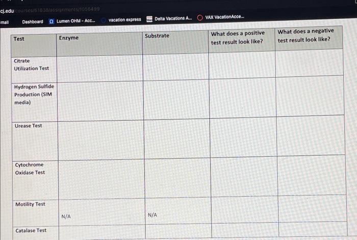 Solved Biochemical Matrix (Part of unknown) Name: | Chegg.com